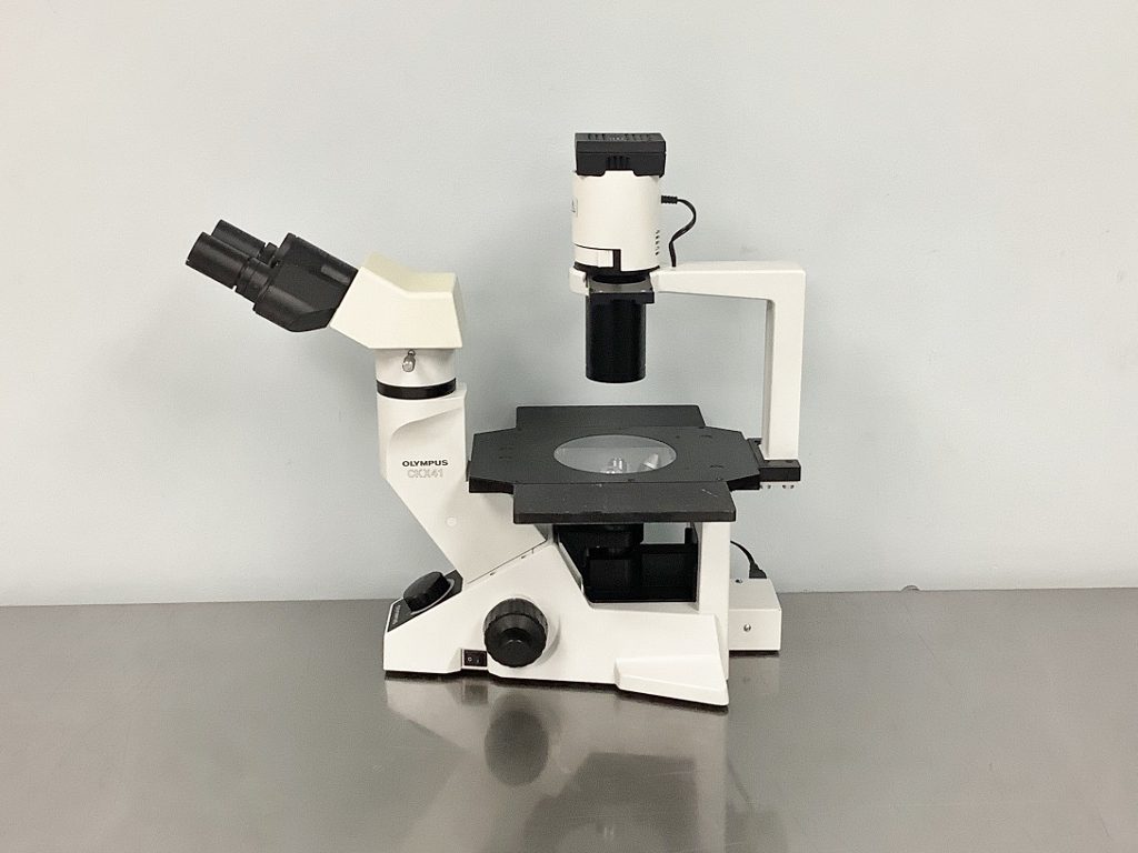 Olympus CKX41 Inverted Phase Contrast Microscope