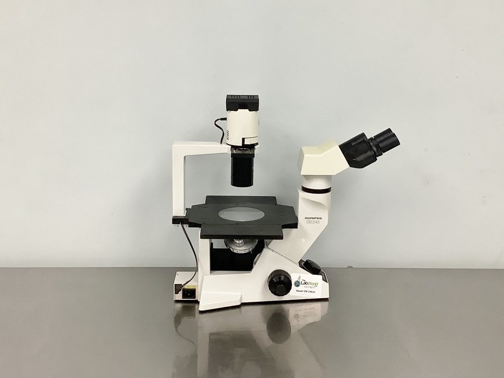 Olympus CKX41 Inverted Phase Contrast Microscope