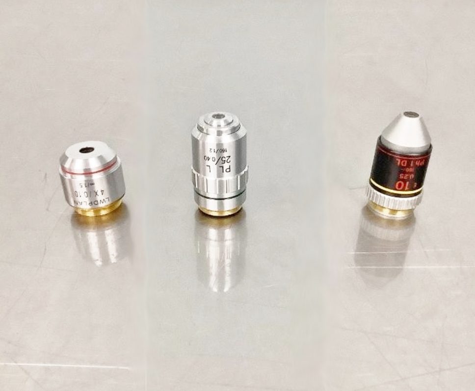 Olympus CKX41 Inverted Phase Contrast Microscope