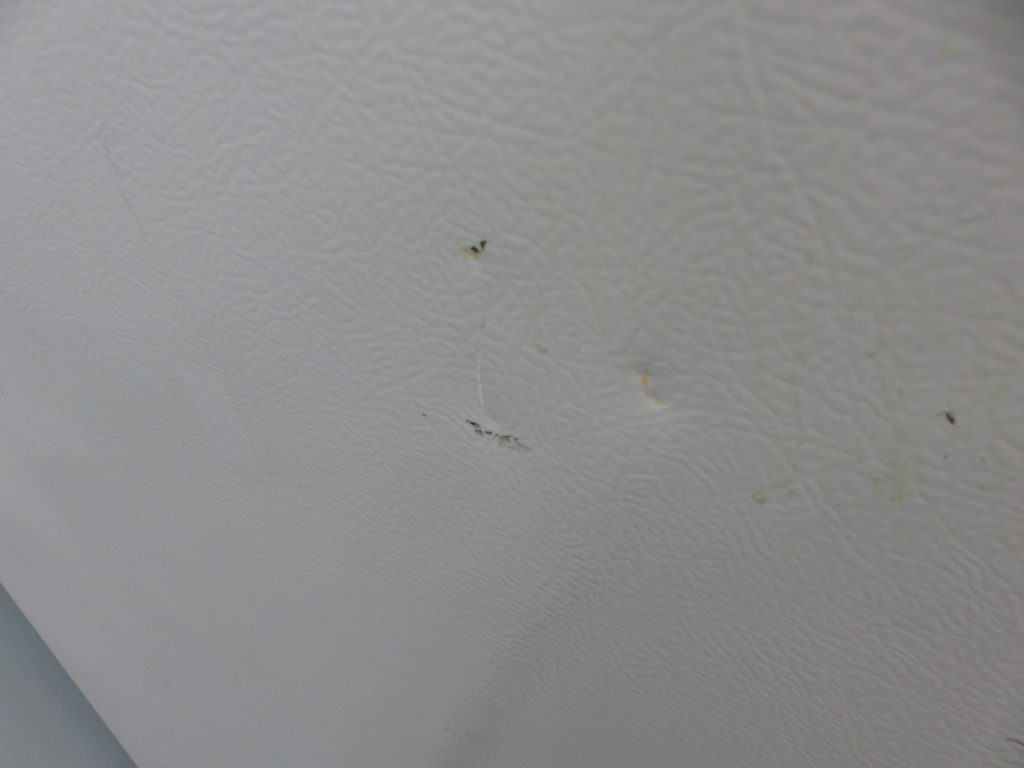 Fisher Scientific Isotemp Freezer - The Lab World Group