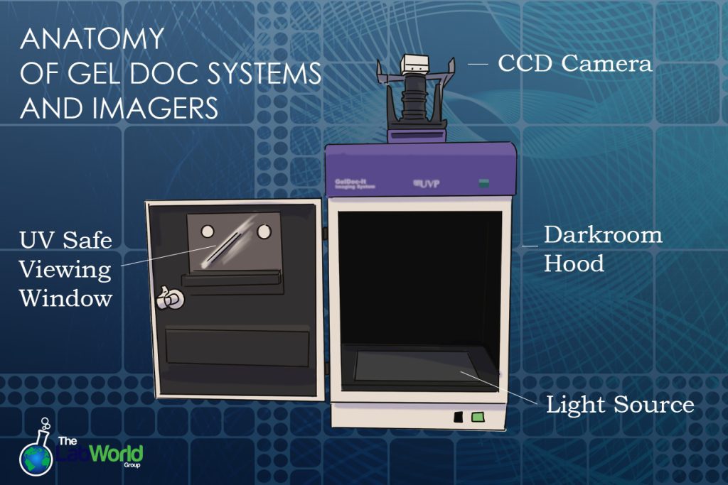 Anatomy of Gel Documentation Systems and Gel Scanners