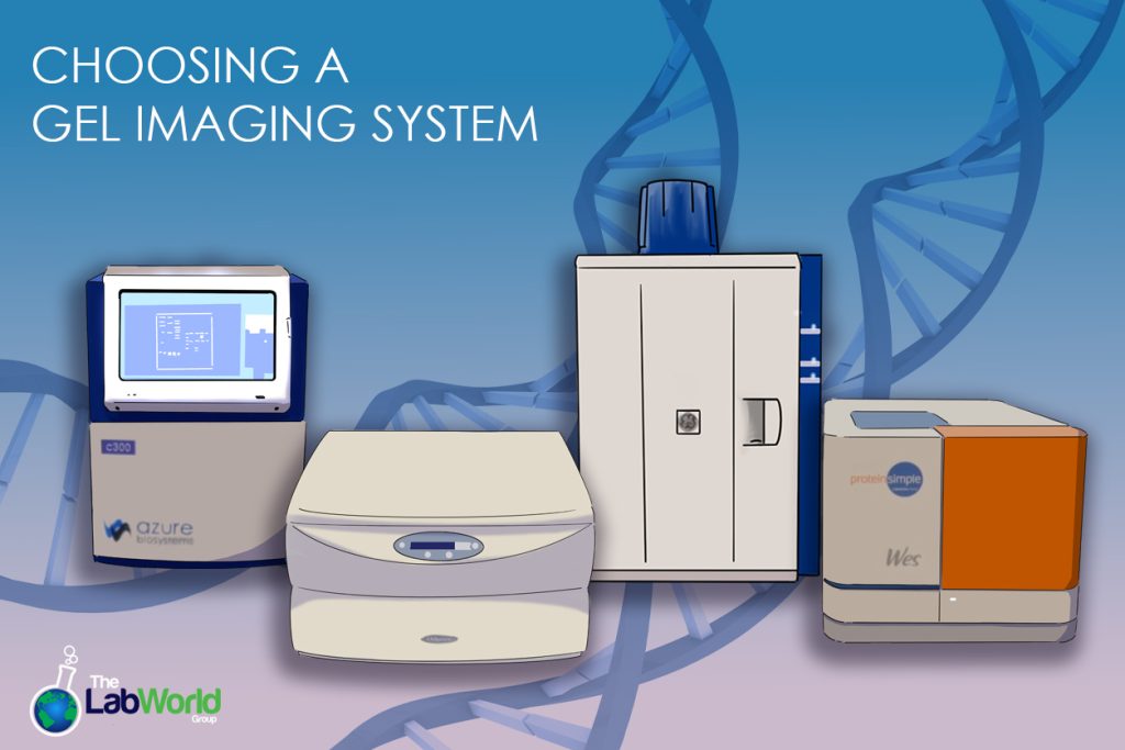 Choosing the Right Gel Documentation System for Your Lab