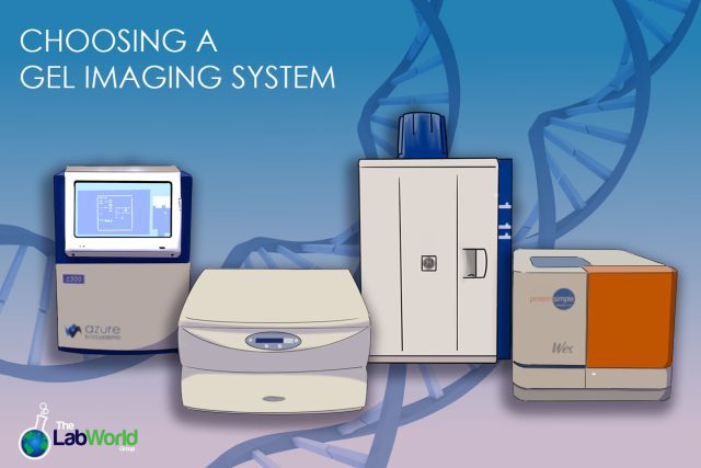 Choosing the Right Gel Documentation System for Your Lab