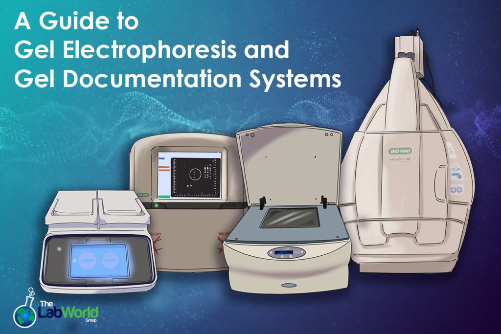 A Guide to Gel Electrophoresis and Gel Documentation Systems