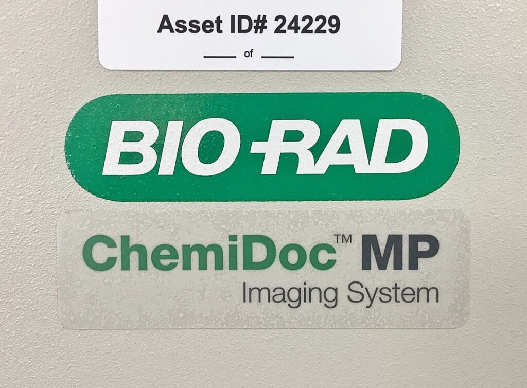 BioRad ChemiDoc MP Imaging System - The Lab World Group