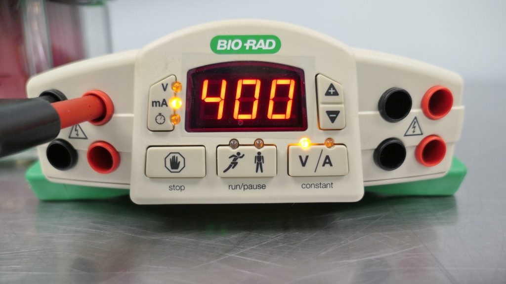 Biorad Powerpac Basic Power Supply - The Lab World Group