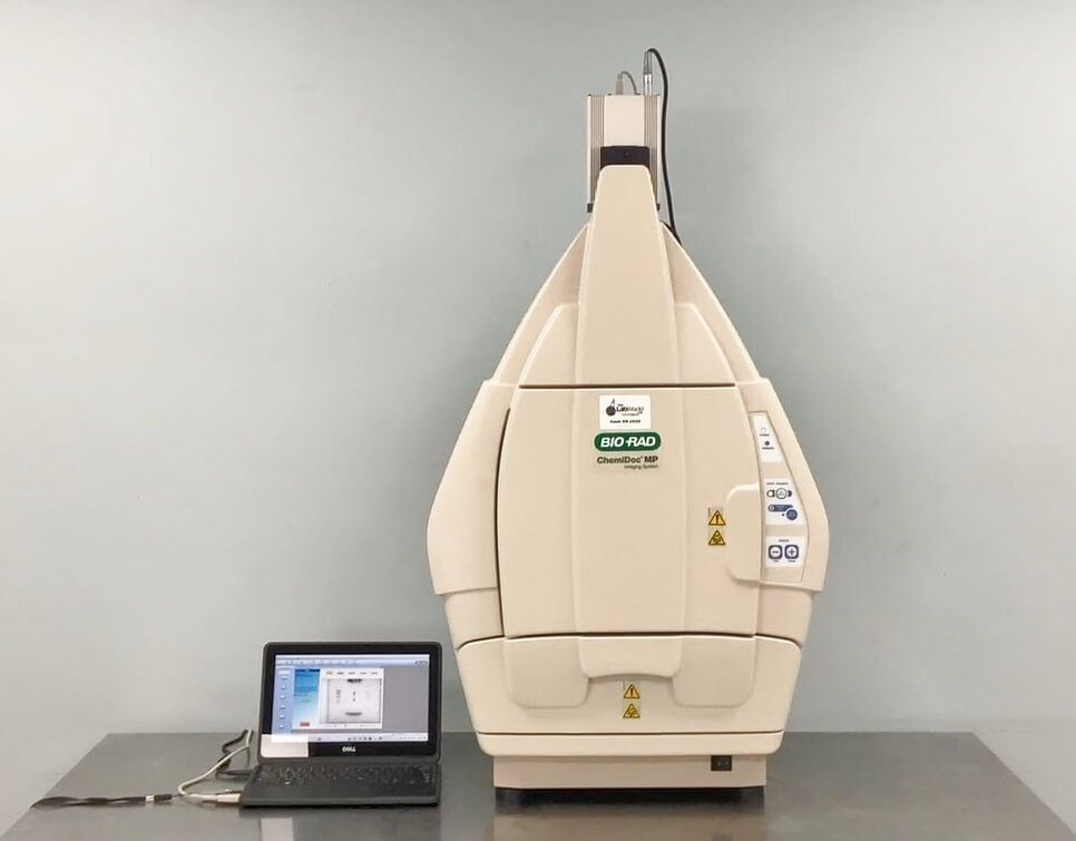 BioRad ChemiDoc MP Imaging System - The Lab World Group