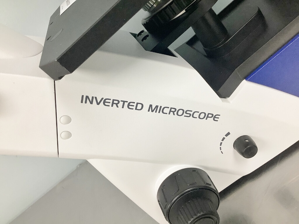 Fisherbrand Inverted Phase Contrast Microscope - TLWG
