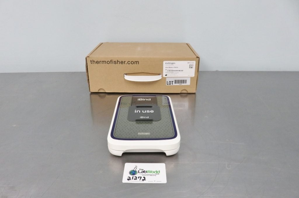 iBind Western Blot Invitrogen - TLWG