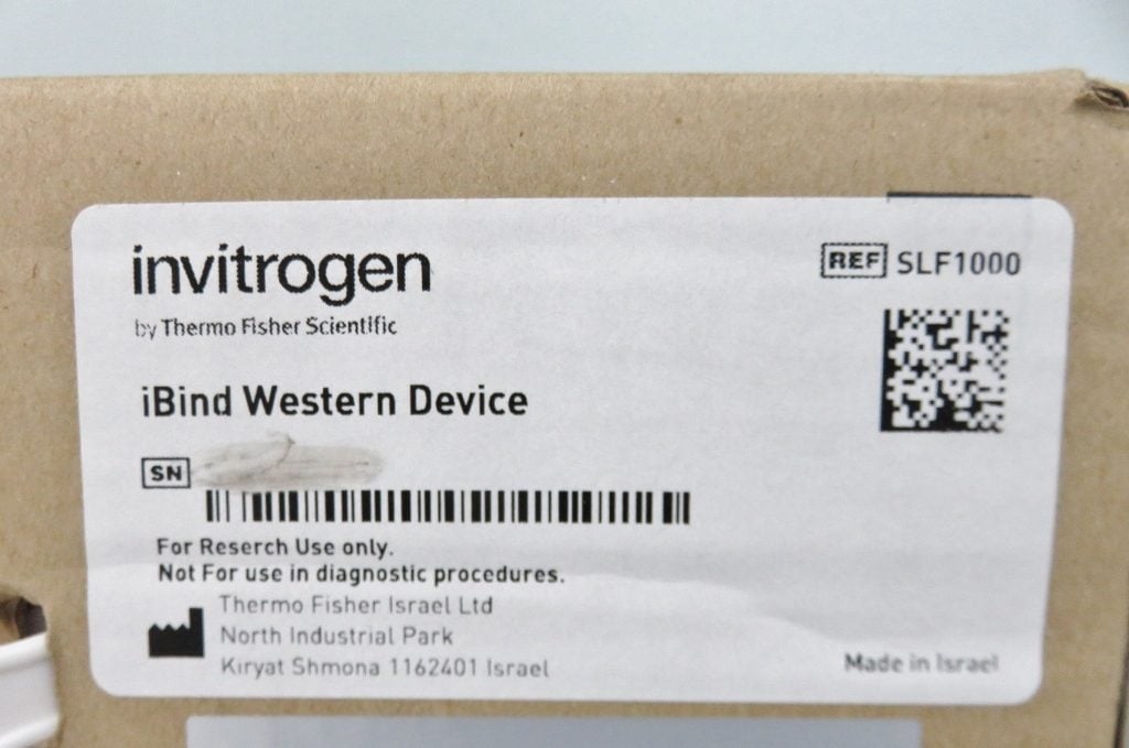 iBind Western Blot Invitrogen - TLWG