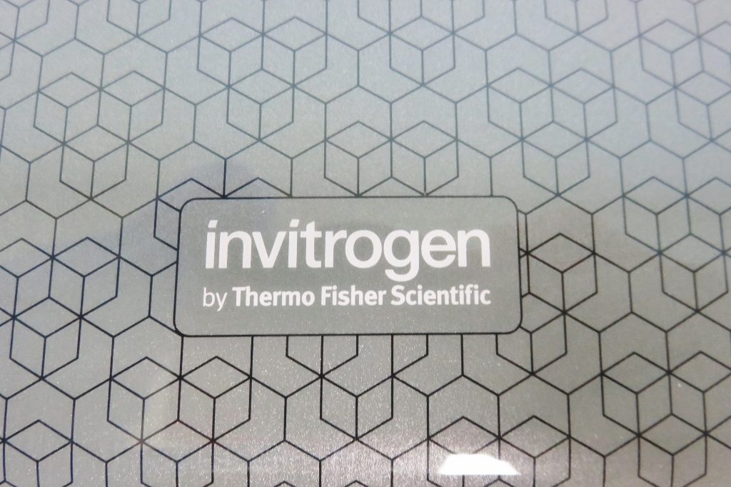 Thermo iBind Flex Western Blot Device - TLWG