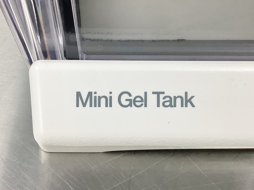 Mini Gel Electrophoresis Systems - The Lab World Group