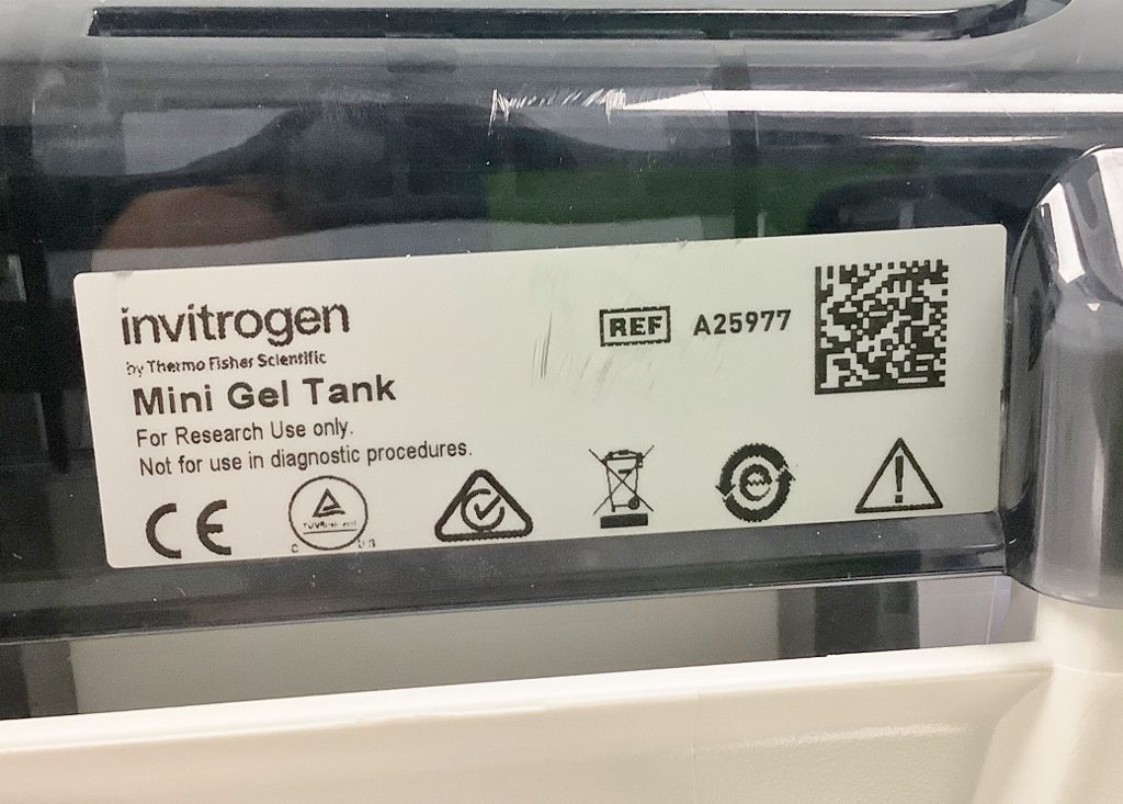 Mini Gel Electrophoresis Systems - The Lab World Group