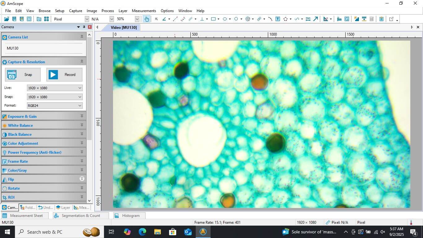Fisherbrand Inverted Phase Contrast Microscope - TLWG