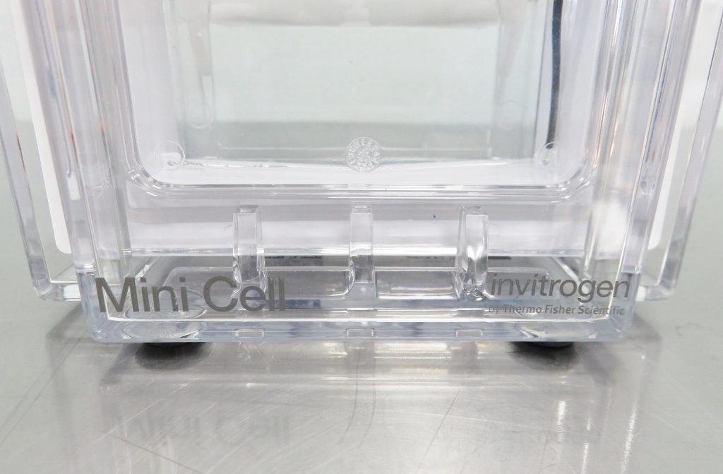 Invitrogen Novex XCell SureLock - Unused in Box - TLWG