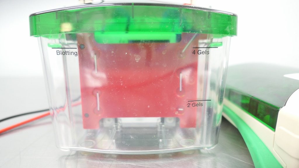 Biorad Powerpac Basic Power Supply - The Lab World Group