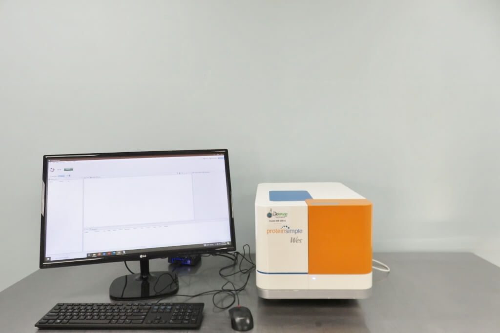 Protein Simple Wes Western Blot System