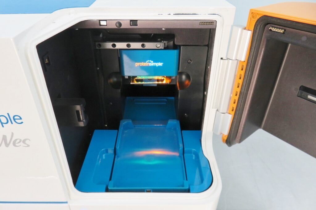 Protein Simple Wes Western Blot System