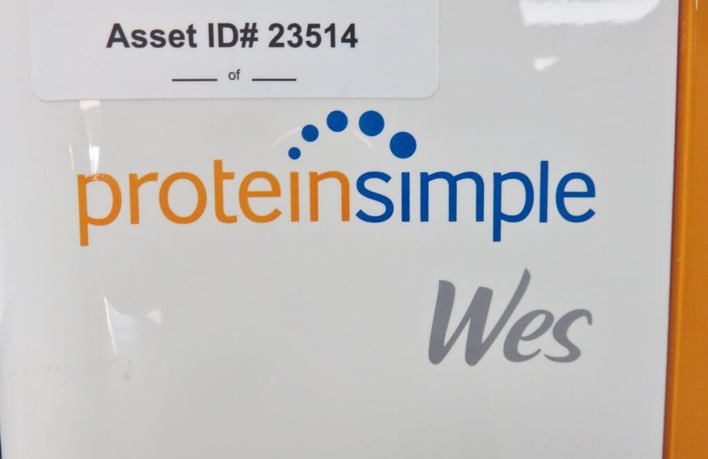 Protein Simple Wes Western Blot System