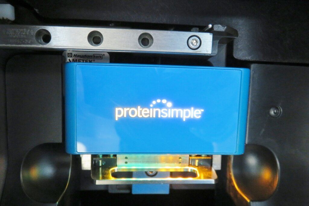 Protein Simple Wes Western Blot System