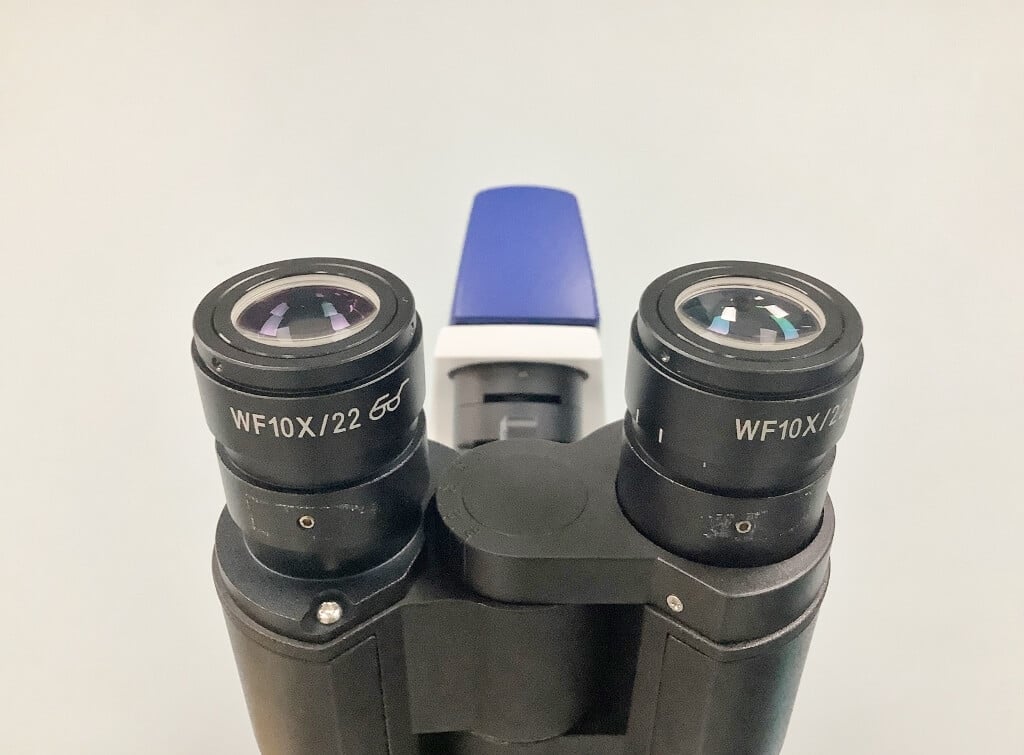 Fisherbrand Inverted Phase Contrast Microscope - TLWG