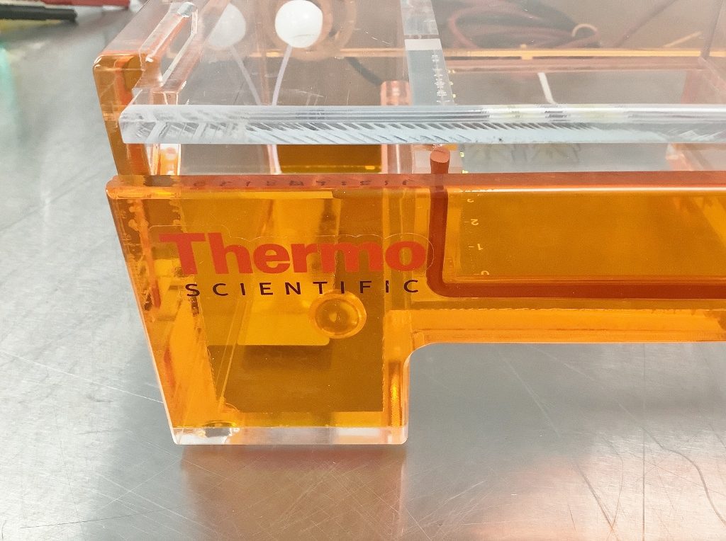Mini Gel Electrophoresis Systems - The Lab World Group
