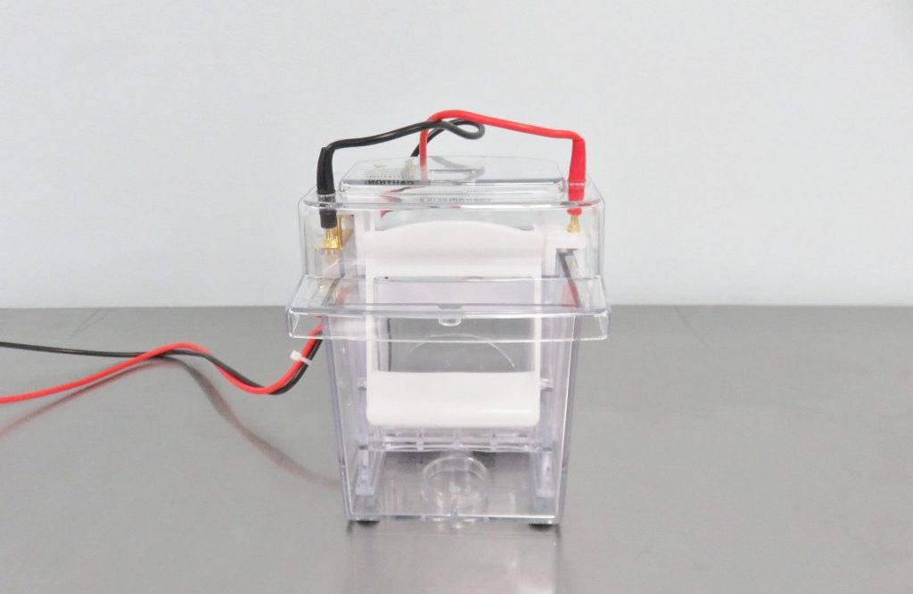 Invitrogen Novex XCell SureLock - Unused in Box - TLWG