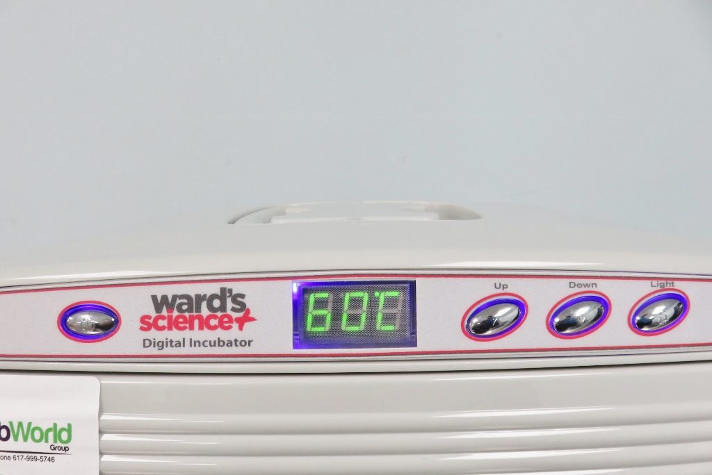 Digital Mini Incubator Ward's Science - The Lab World Group