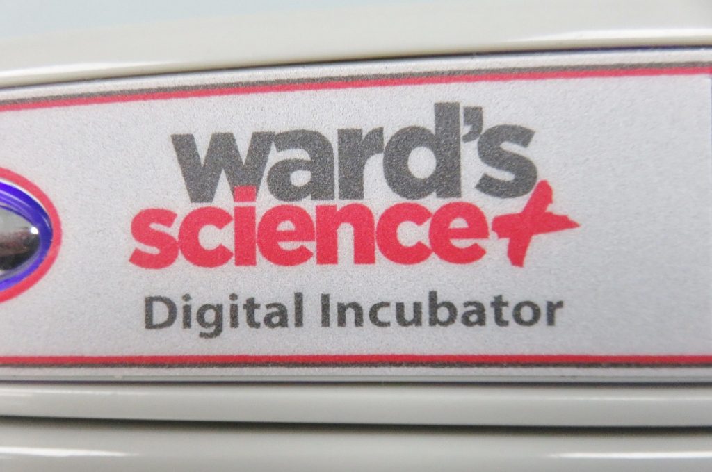 Digital Mini Incubator Ward's Science - The Lab World Group