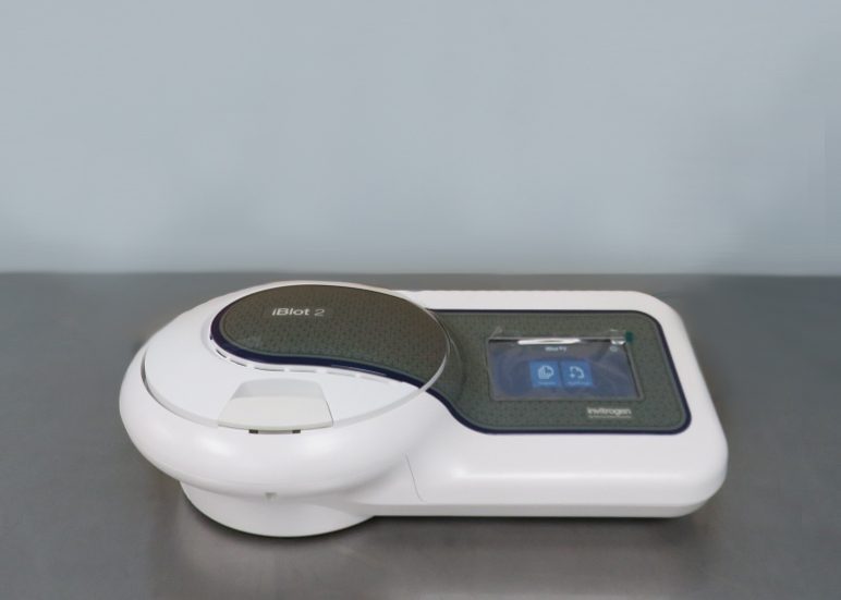 Invitrogen iBlot 2 Gel Transfer Device - The Lab World Group