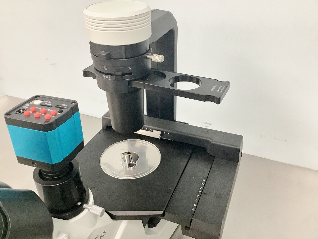 Olympus CKX53 Microscope - The Lab World Group