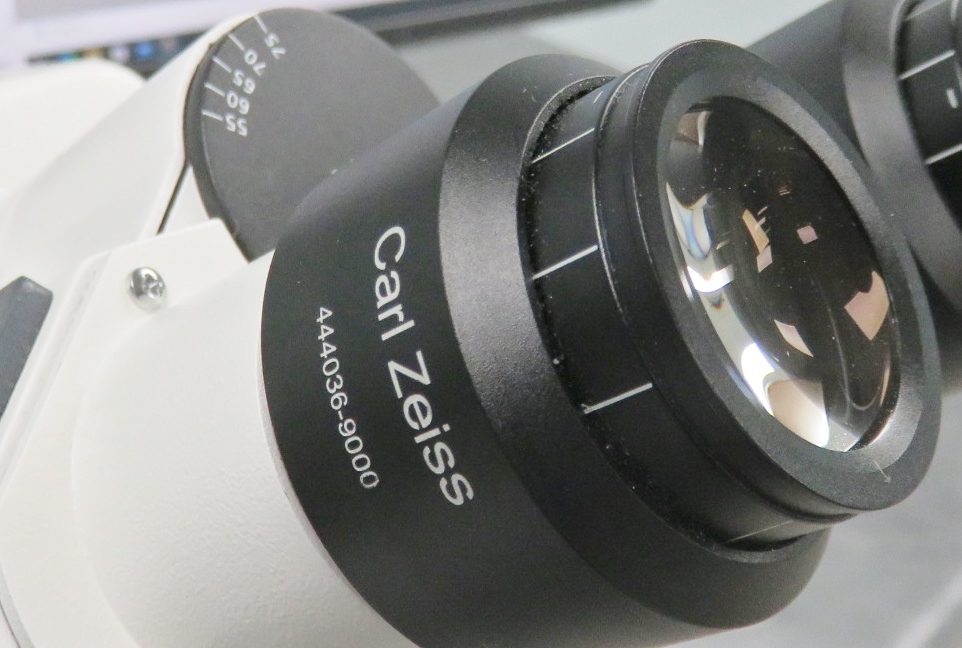 Zeiss Axio Observer D1 Inverted Fluorescence Microscope - TLWG