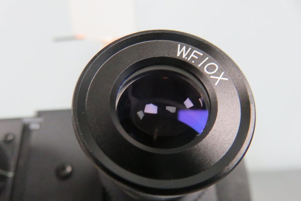Wilovert S Inverted Microscope - The Lab World Group