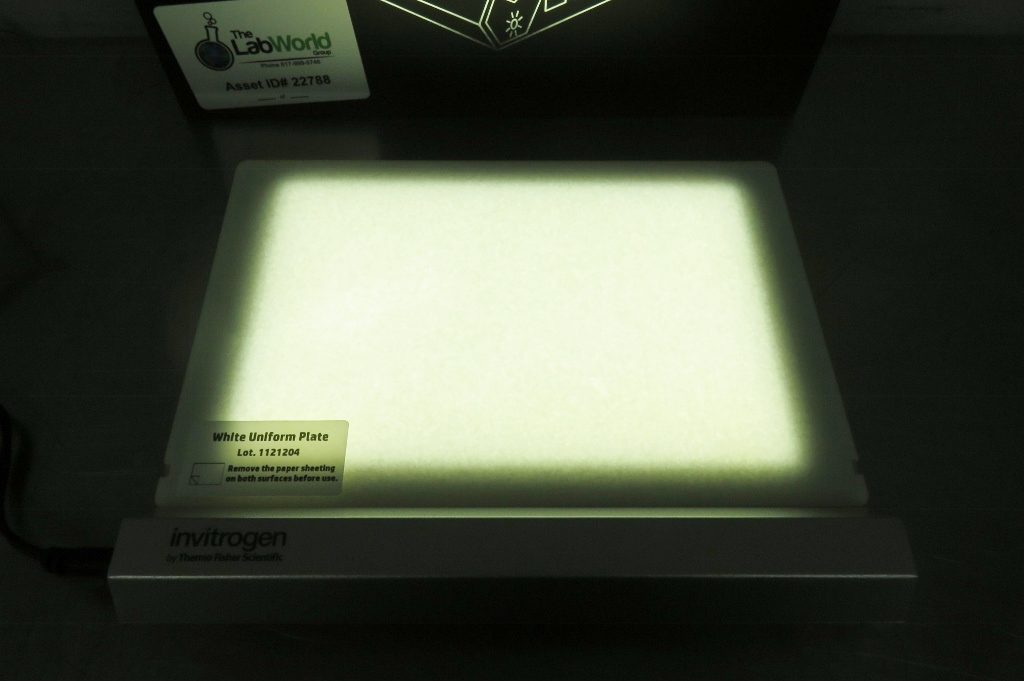 Invitrogen Transilluminator Dual LED Blue/White Lite - Still in Box