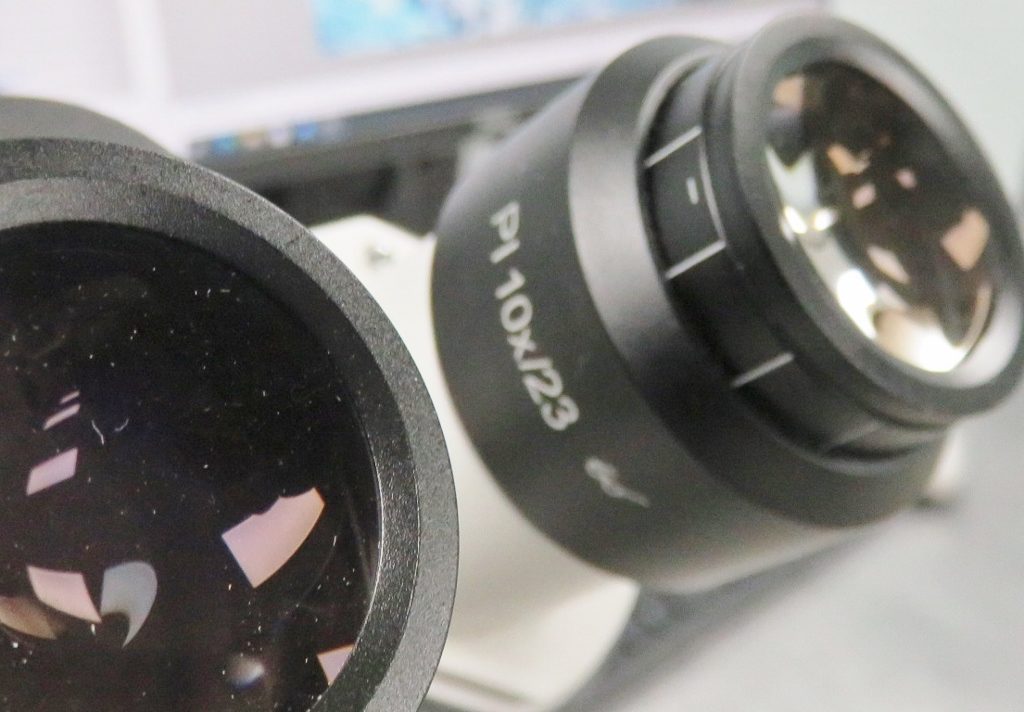 Zeiss Axio Observer D1 Inverted Fluorescence Microscope - TLWG