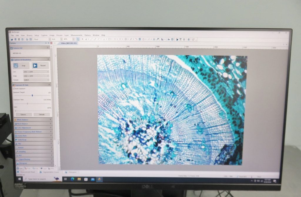 Zeiss Axio Observer D1 Inverted Fluorescence Microscope - TLWG