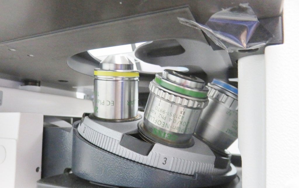 Zeiss Axio Observer D1 Inverted Fluorescence Microscope - TLWG