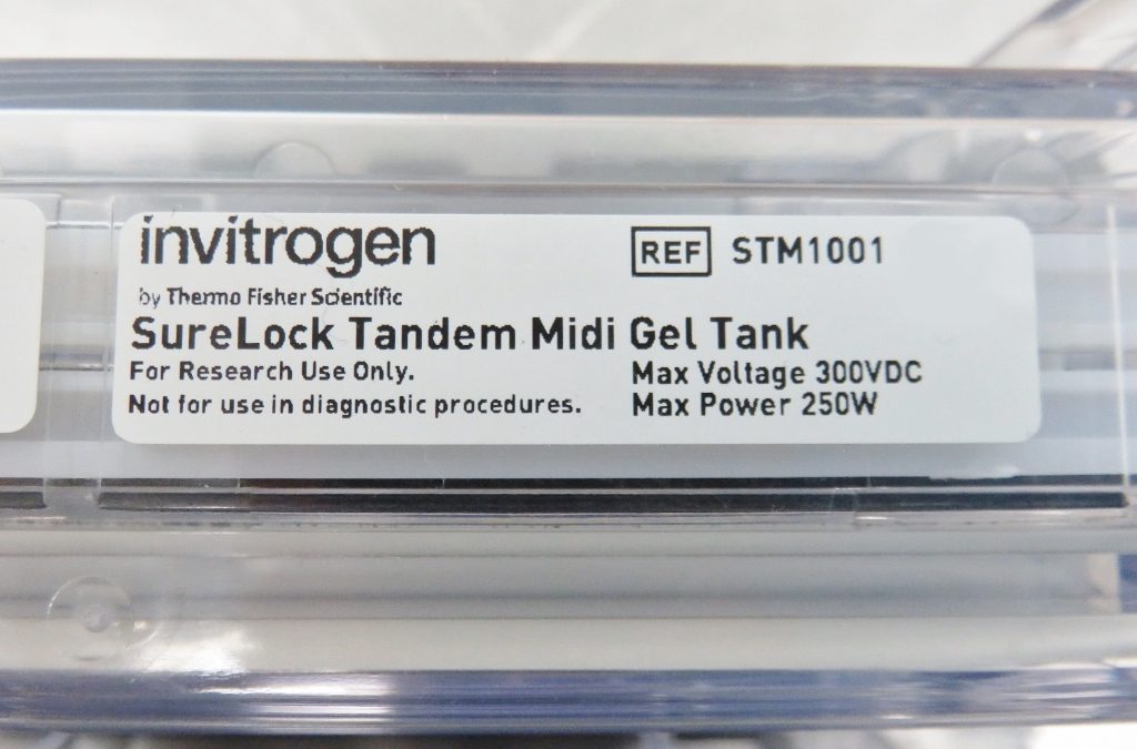 Thermo Surelock Tandem Midi Gel Tank - Unused in Box - TLWG