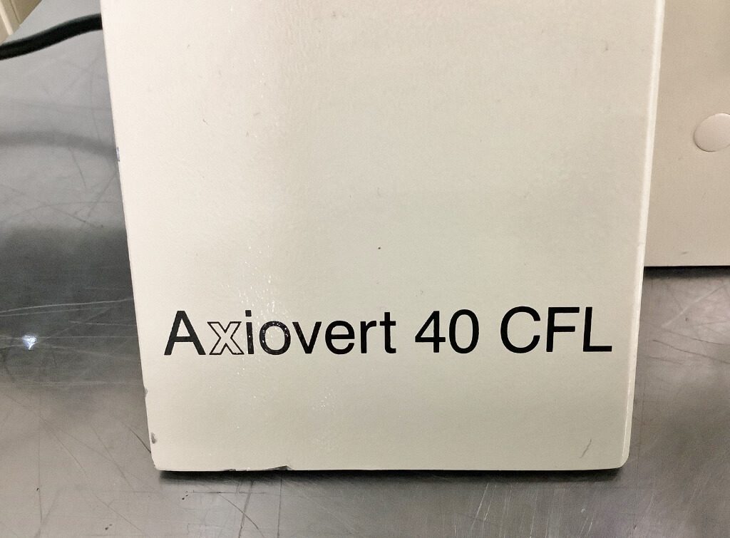 Zeiss Axiovert Fluorescence Microscope - The Lab World Group