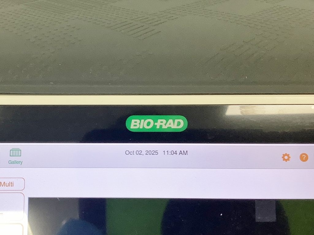 BioRad GelDoc Go Imaging System - The Lab World Group
