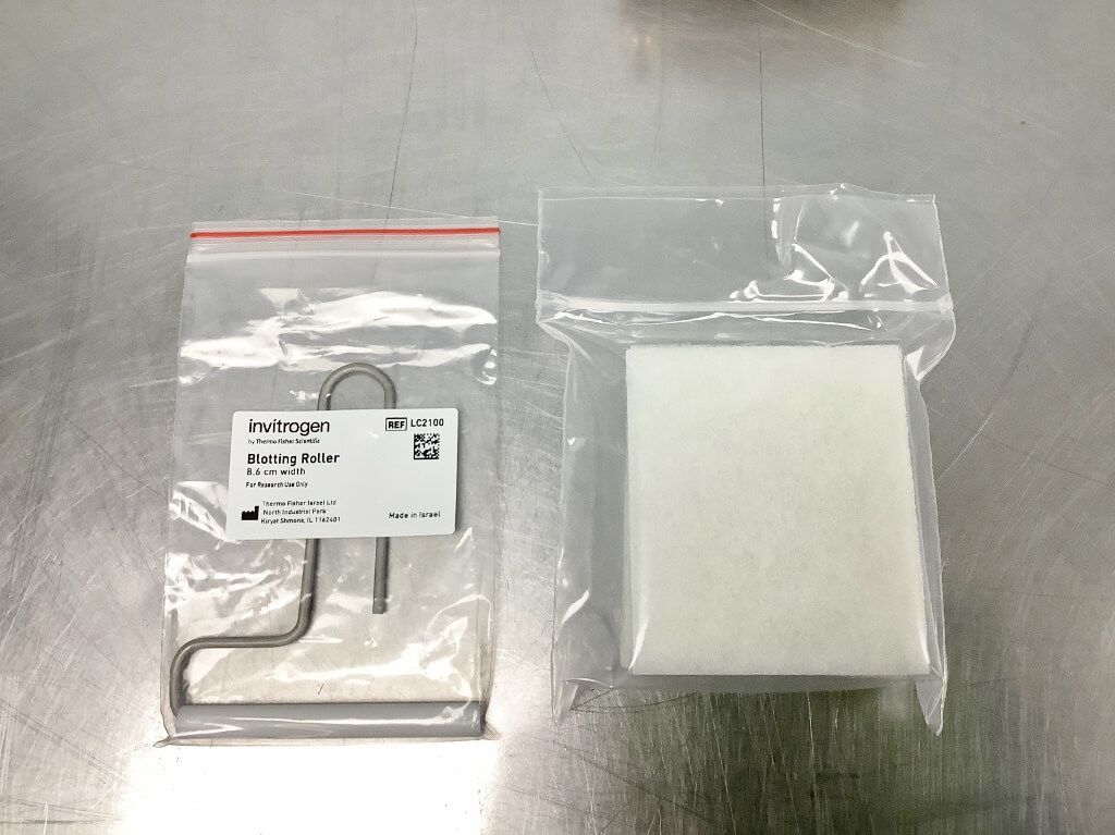 Invitrogen Mini Blot Module - Still in Box - The Lab World Group