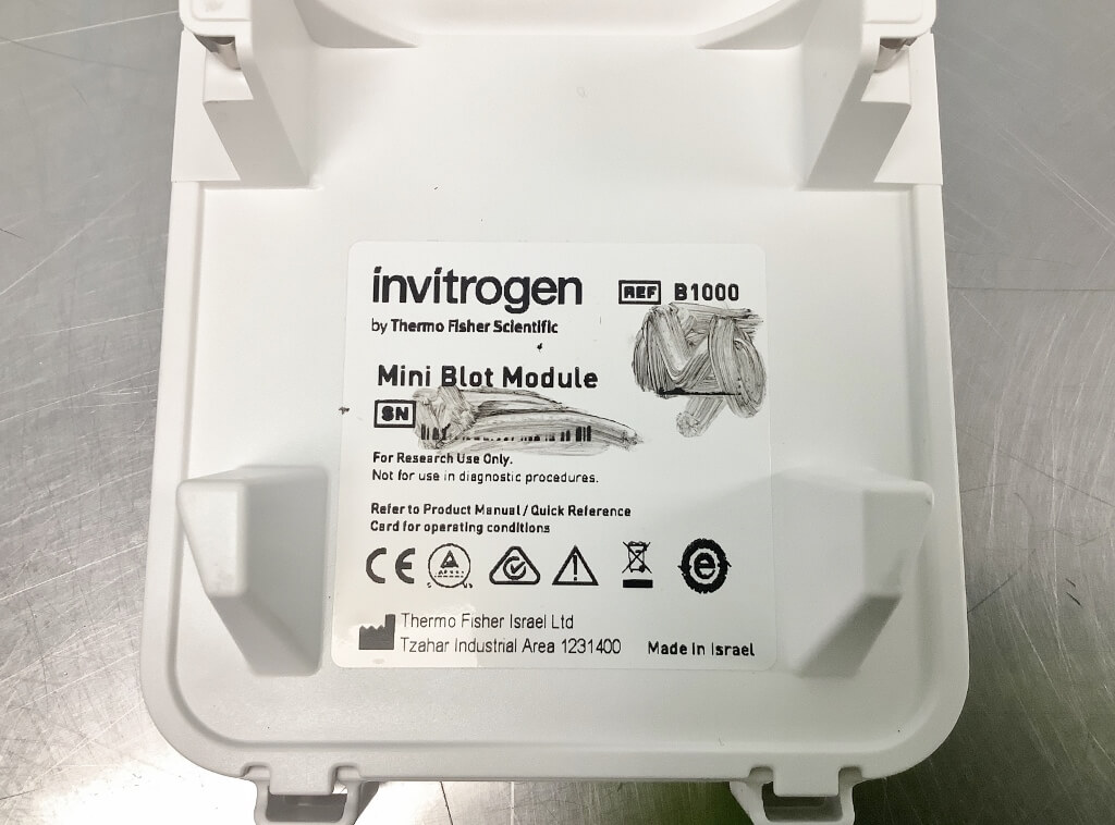 Invitrogen Mini Blot Module - Still in Box - The Lab World Group