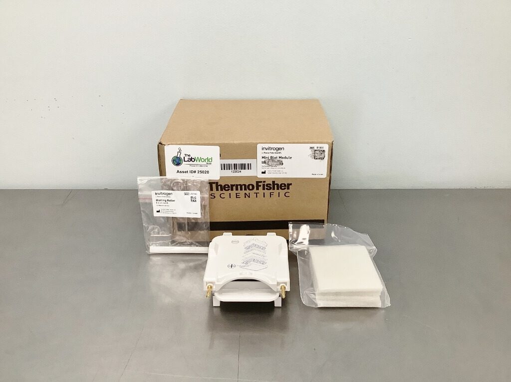 Invitrogen Mini Blot Module - Still in Box - The Lab World Group