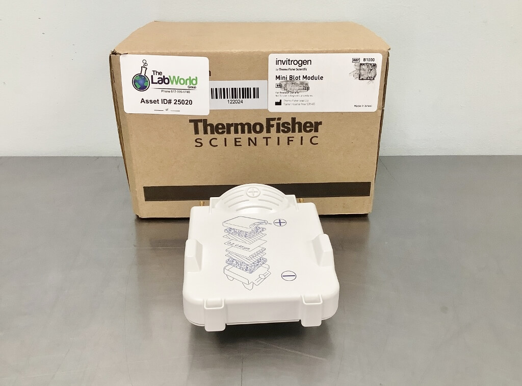 Invitrogen Mini Blot Module - Still in Box - The Lab World Group