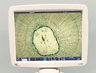 EVOS FL Digital Inverted Microscope - The Lab World Group
