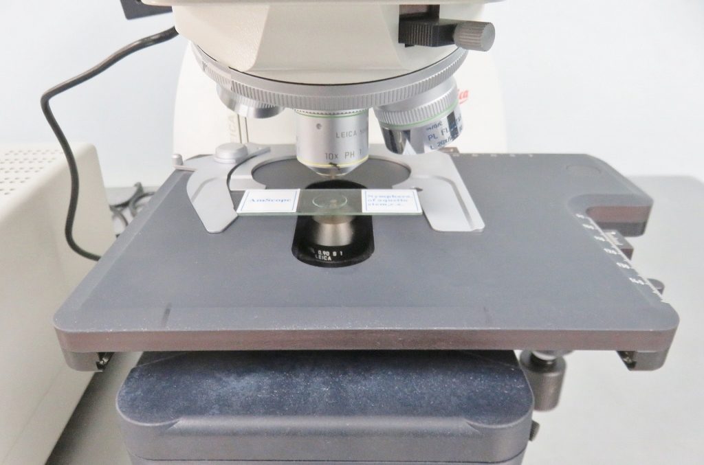Leica DM4000M Fluorescence Microscope - The Lab World Group
