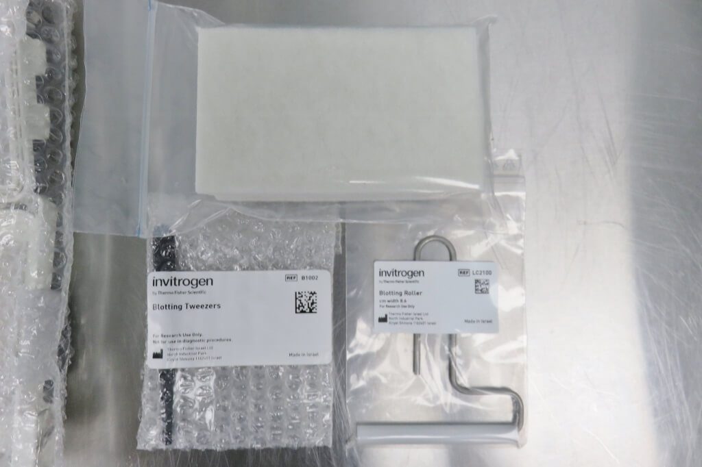 Thermo SureLock Tandem Midi Blot Module - The Lab World Group