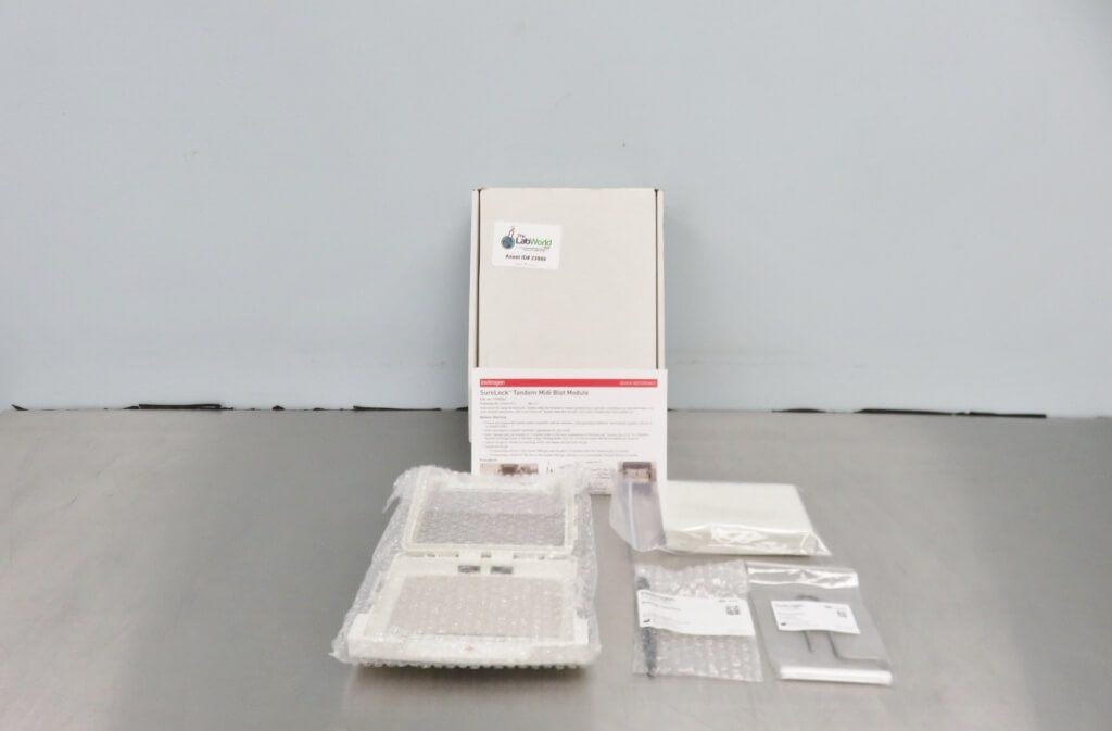 Thermo SureLock Tandem Midi Blot Module - The Lab World Group