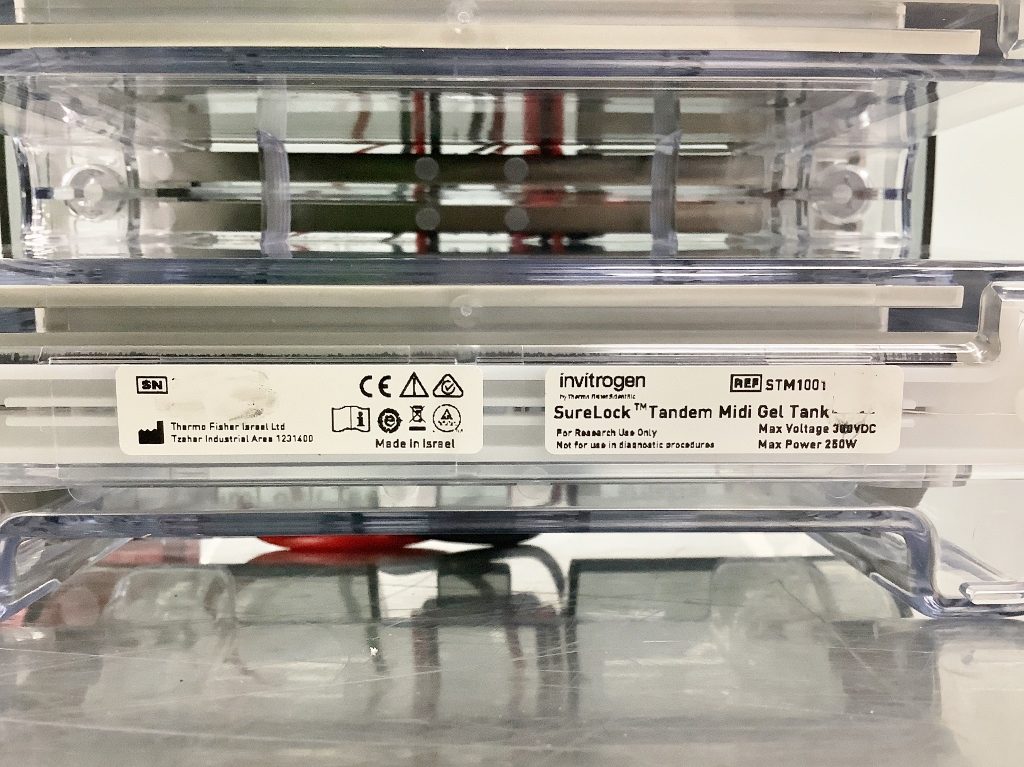 Thermo Surelock Tandem Midi Gel Tank - Unused in Box - TLWG