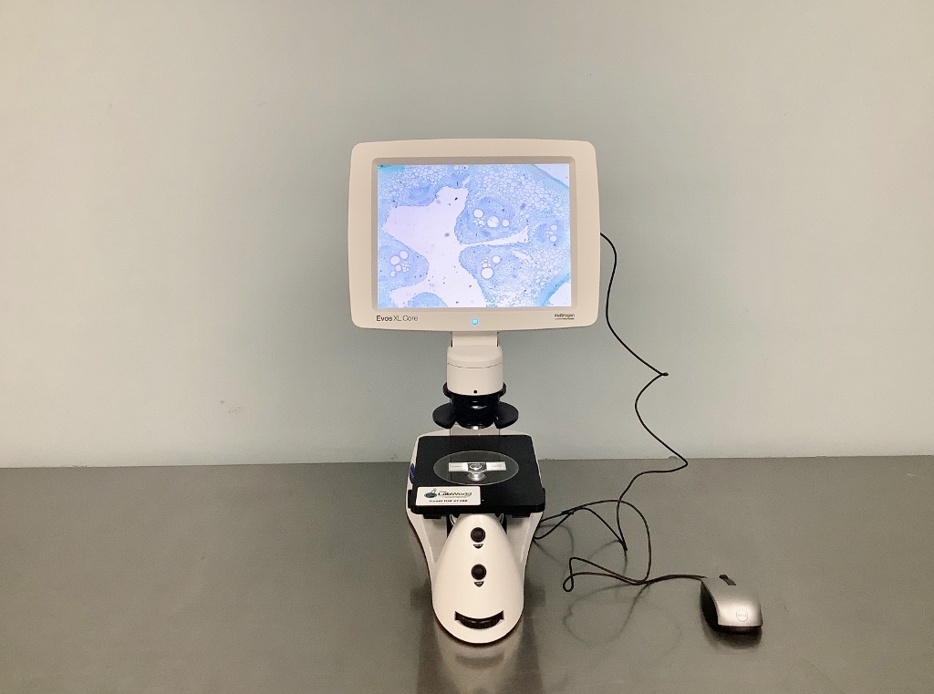Evos XL Core Imaging System - The Lab World Group